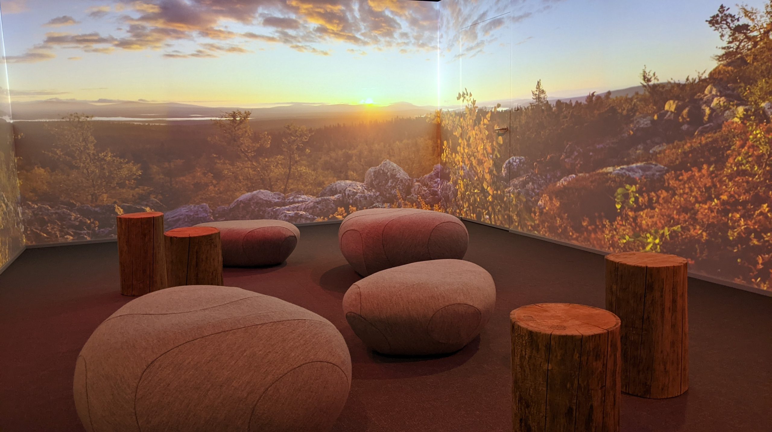 Virtuaaliluontotila mahdollistaa monipuolisen tutkimuksen | Granlund